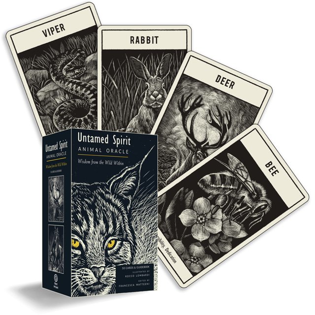 Untamed Spirit : Animal Oracle (50 Cards and Guidebook) (Kit) - Walmart.com