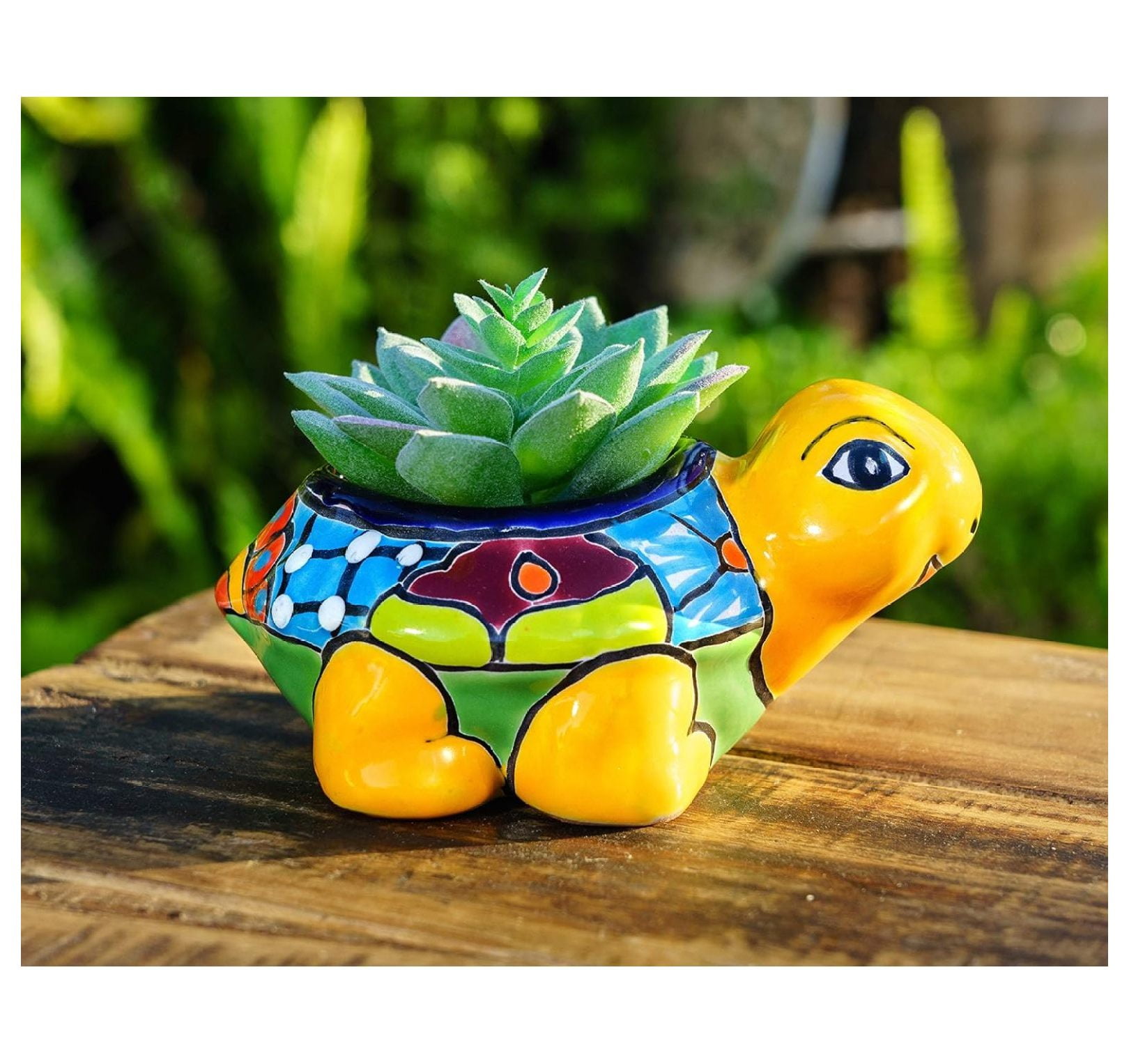UooMi Pottery Ceramic Turtle Succulent Planter Small Pot for Plants ...