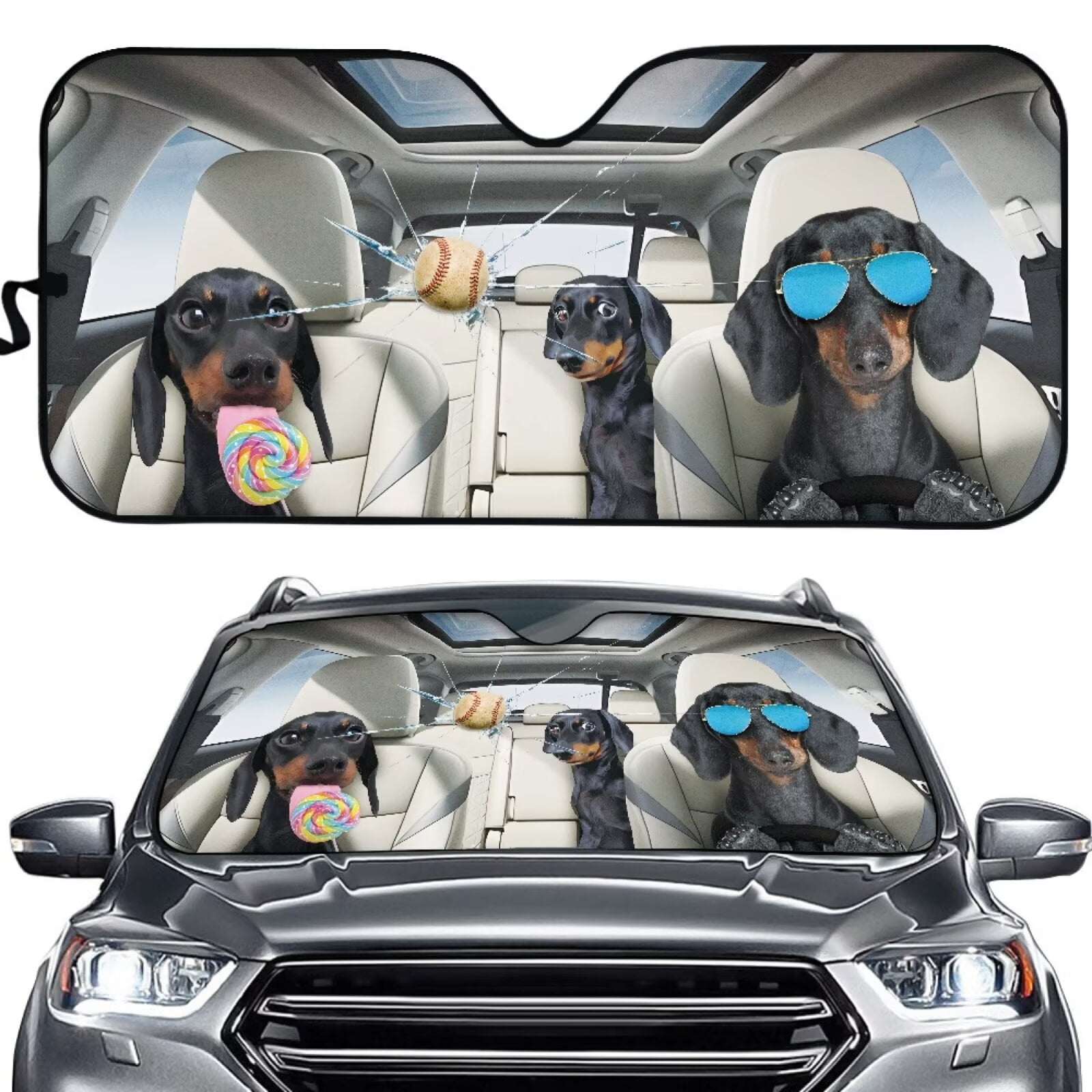 Uorisanigo Automotive Car Shade for Front Windows Funny Dachshund ...