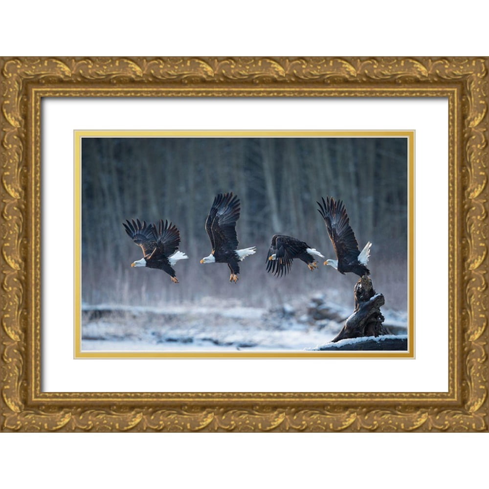 Uota, Katsu 24x17 Gold Ornate Wood Framed with Double Matting Museum ...