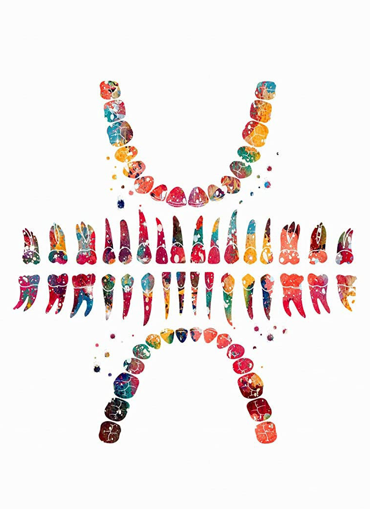 Uoyeqt Puzzles for Adult 1000 Piece Jigsaw Puzzle Tooth Chart ...