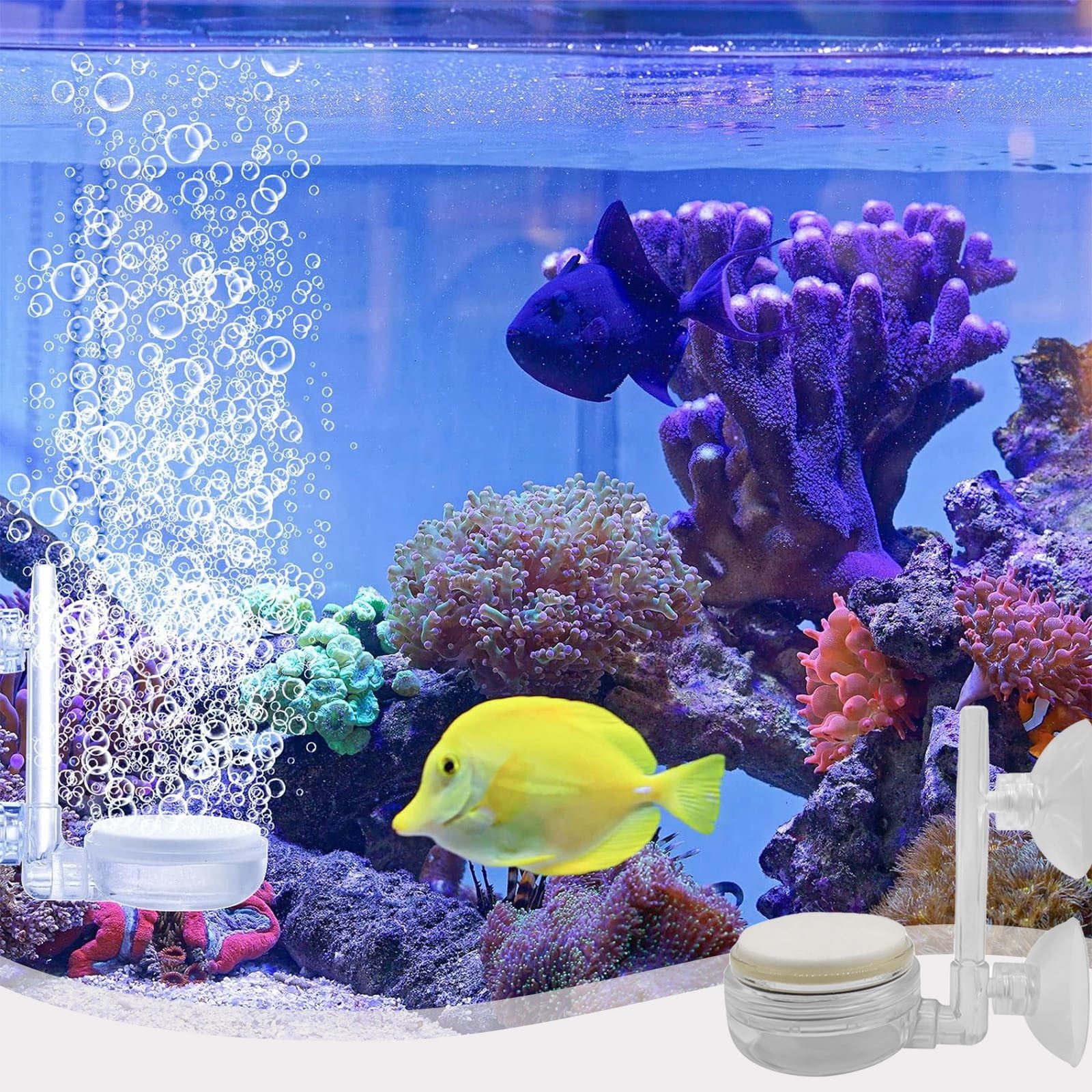 Up to 30% OFF, Round Gas Stone Diffuser - Aerator Disc for Hydroponics ...