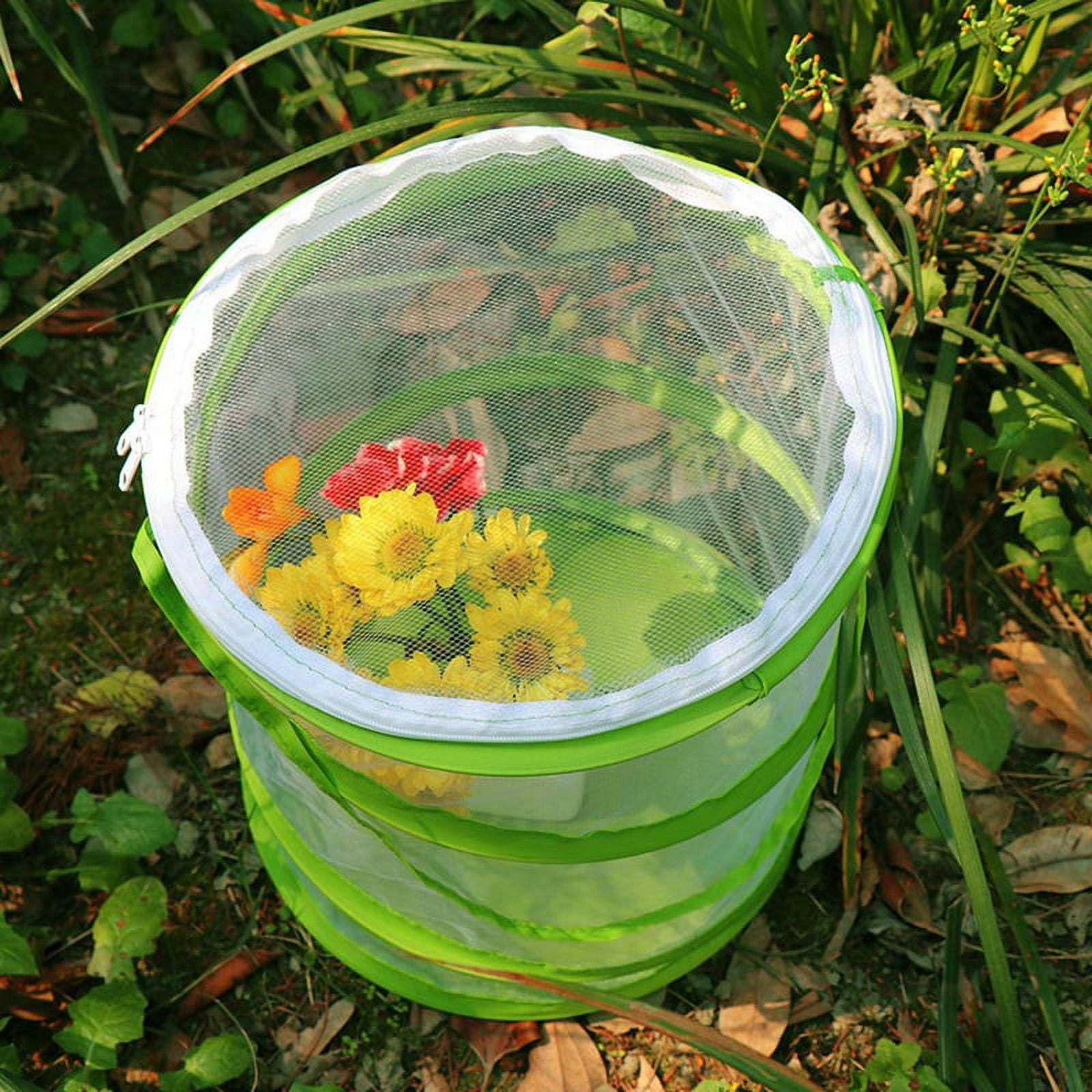 -Up Insect and Butterfly Habitat Cage Terrarium Clear Mesh Enclosure ...