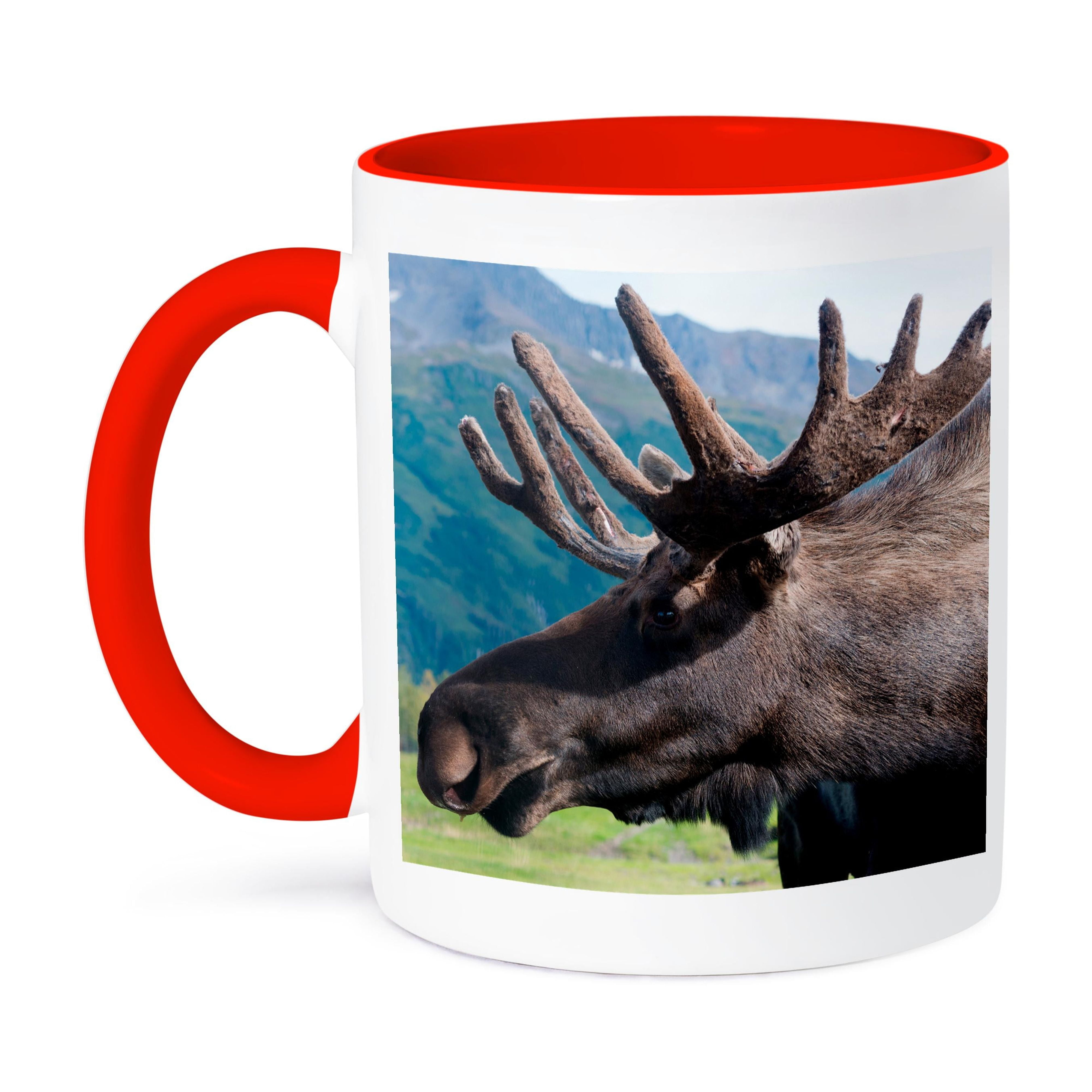 3dRose, Up close and personal with a Moose, Alaska Wildlife Center ...