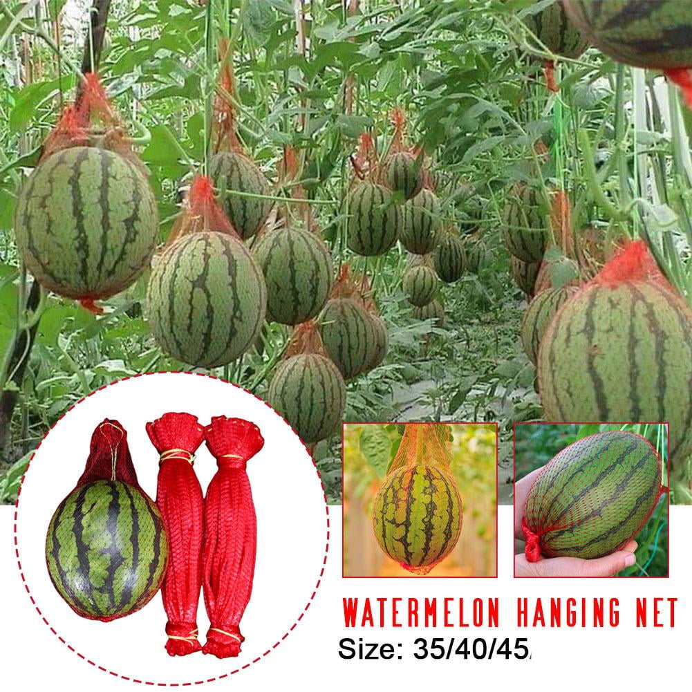 Up to 60% off! GlobalVista 10xFruit Plastic Mesh Bag Watermelon Melon ...