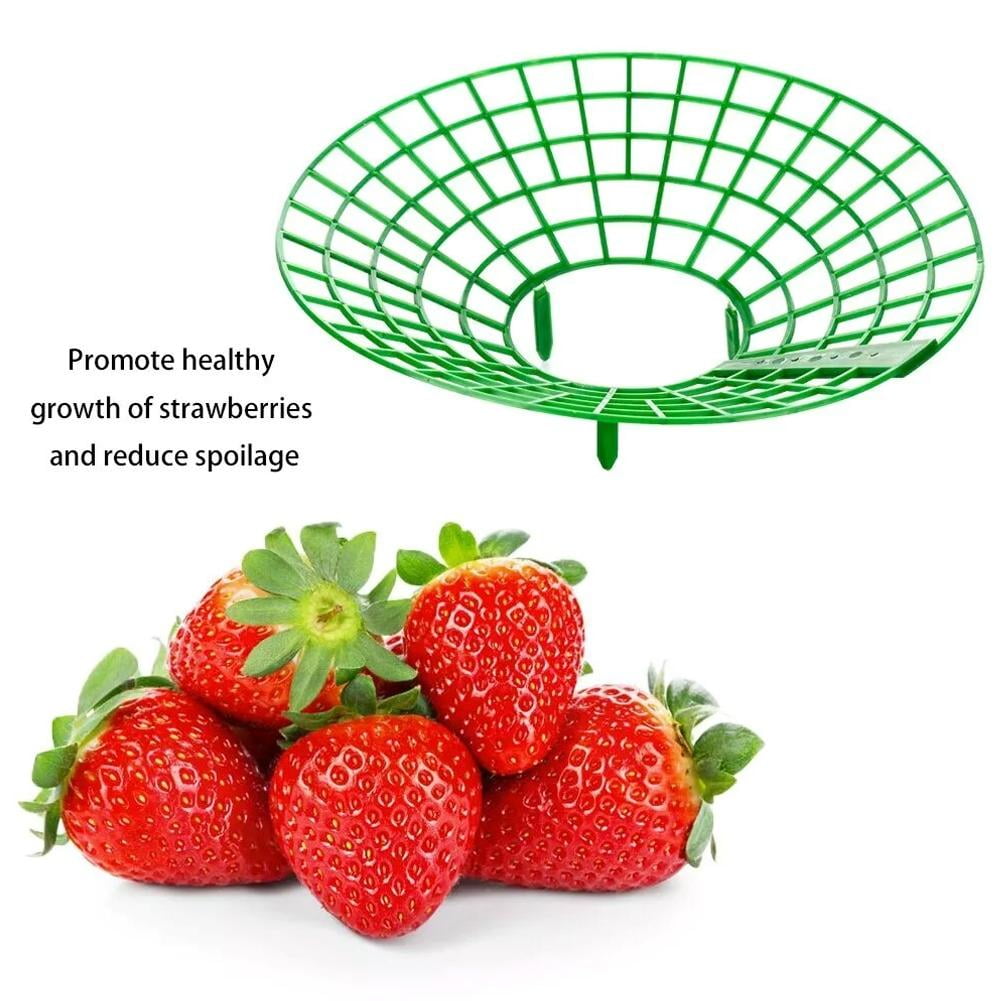 Up to 60% off! GlobalVista Strawberry Stand Frame Holder Balcony ...