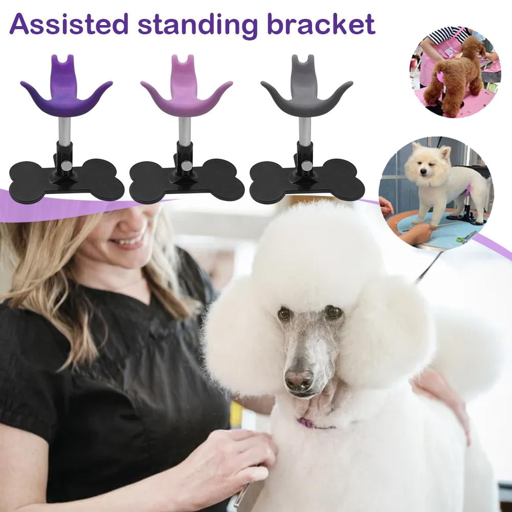 Up to 60% off! PawCasa Adjustable Dog Grooming Sh Bathing Beauty Hair ...