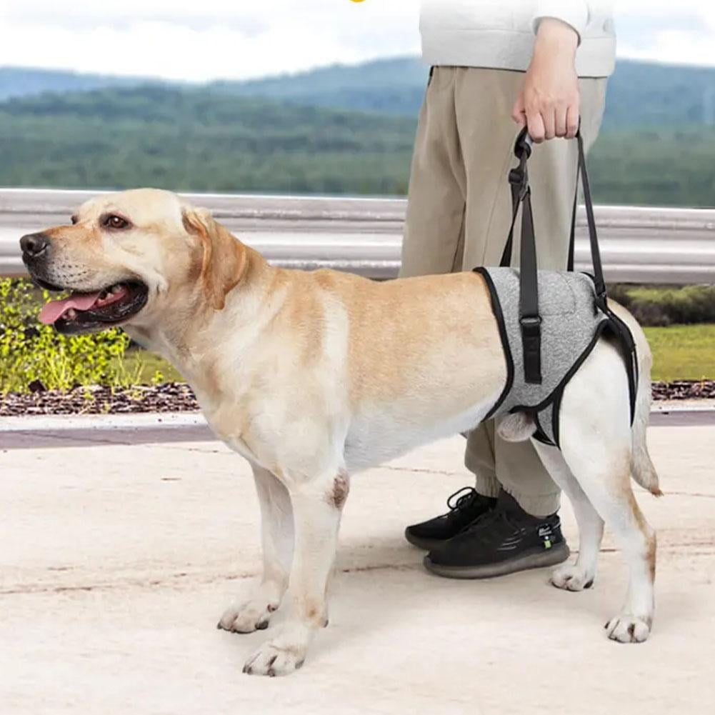 Up to 60% off! PawCasa Dog Assistance Strap For Large Dogs Soft Padded ...