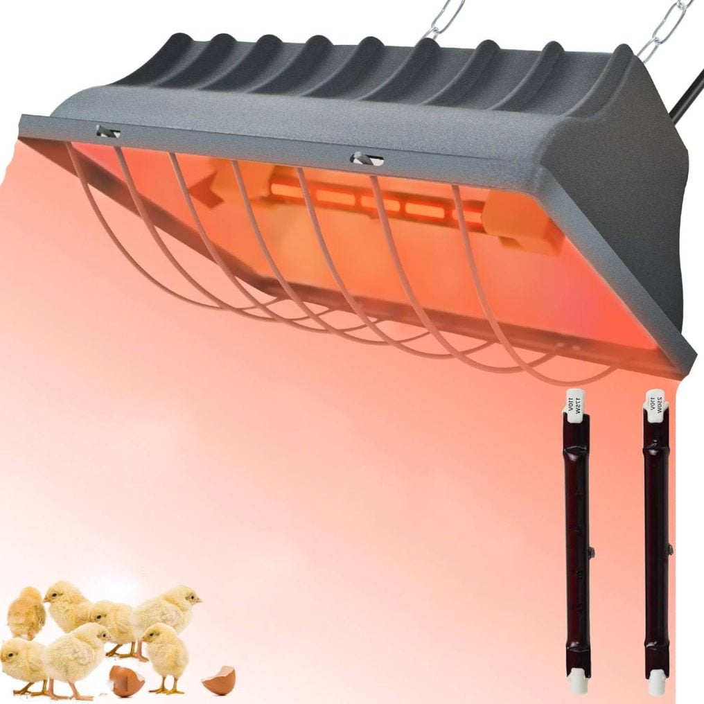 Updated 250W Brooder Heater for 40 Chicks Or Ducklings, 7.86ft Cord ...