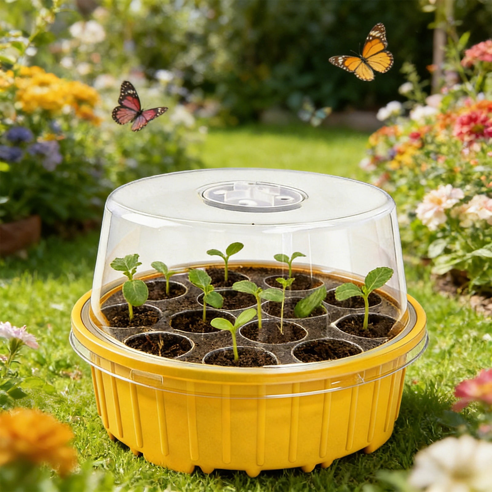 Upgraded 13 Hole Covered Breathable Seeded Box And Seeded Tray ...