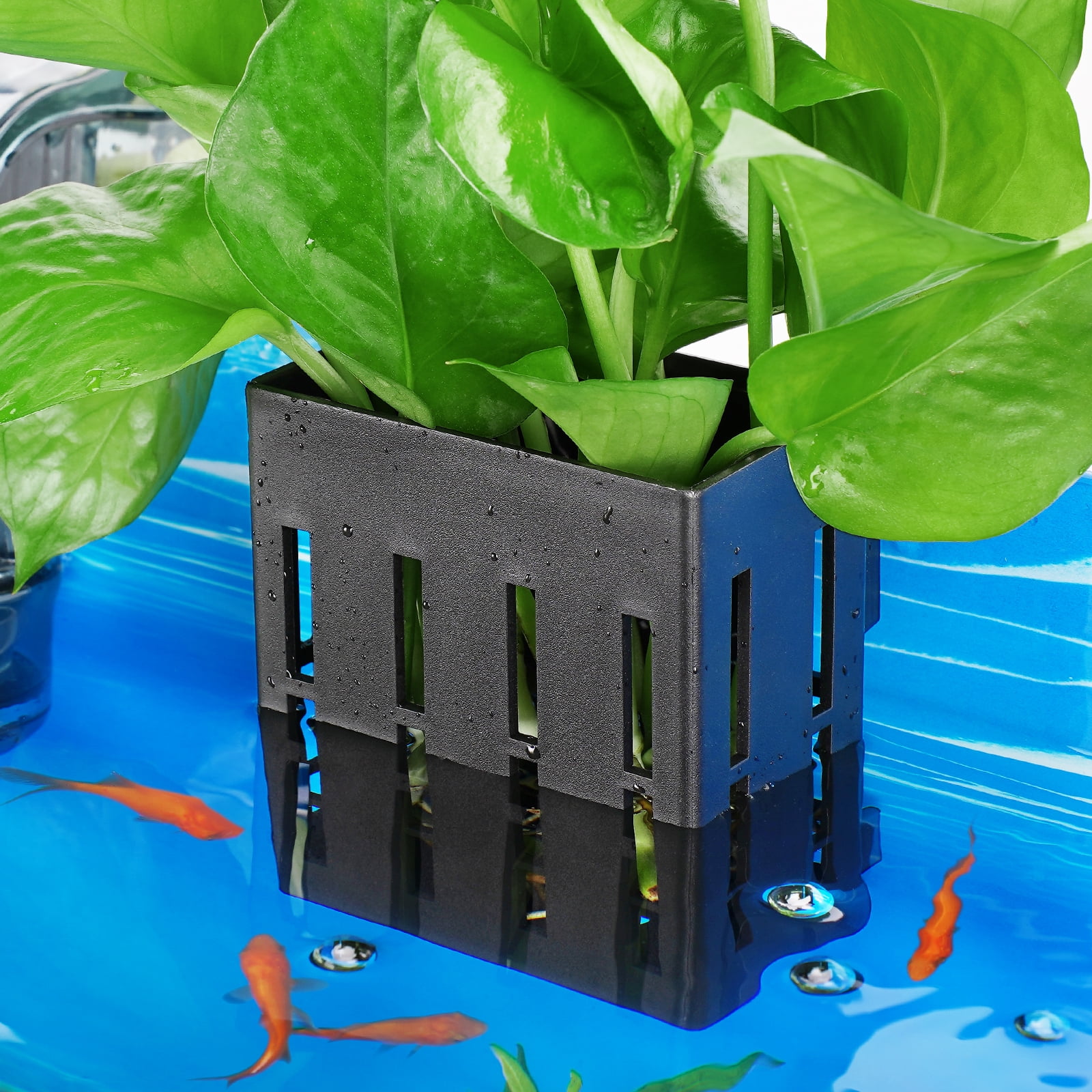 Upgraded Aquarium Plant Holder with Hooks and Suction Cups for Fish ...