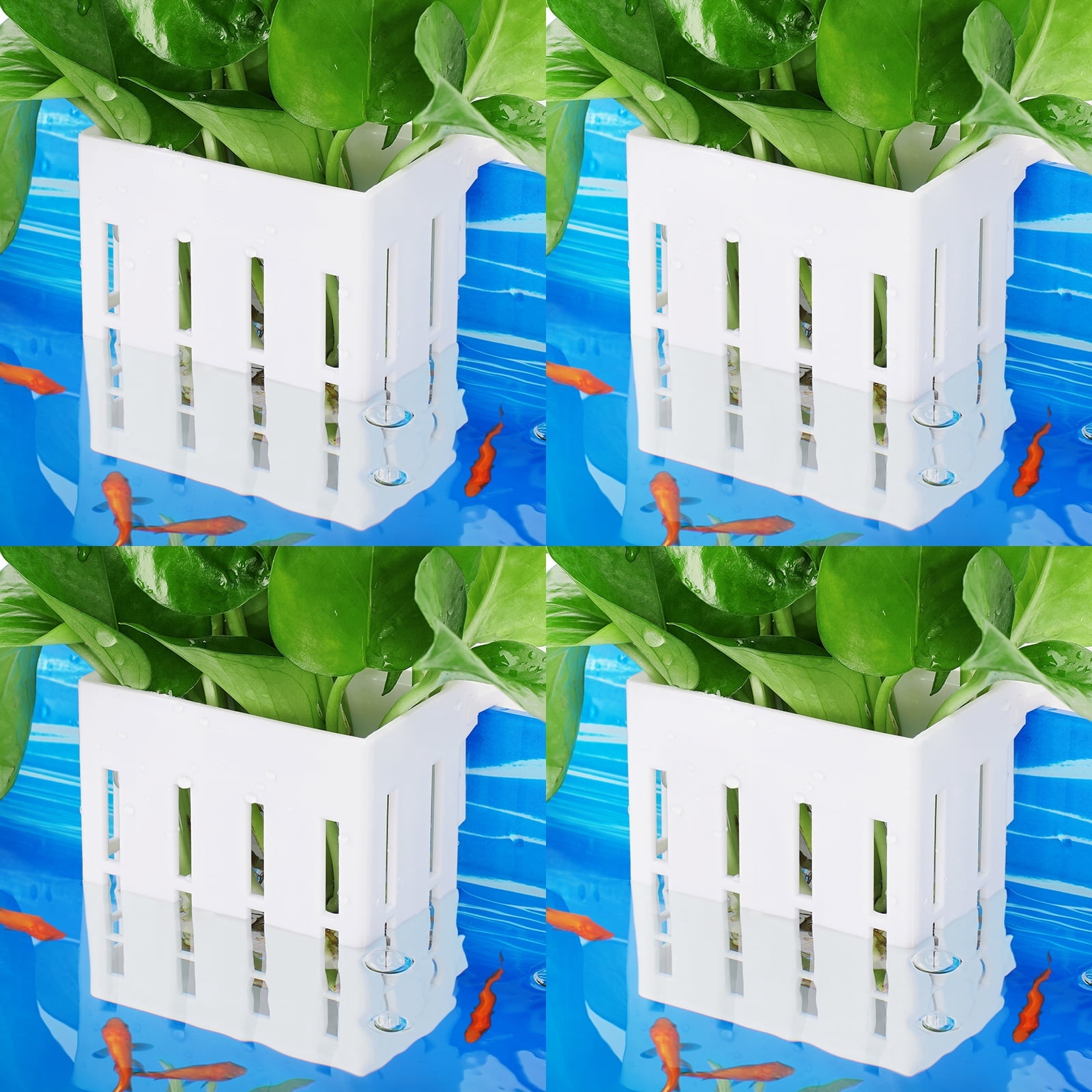 Upgraded Aquarium Plant Holder with Hooks and Suction Cups for Fish ...