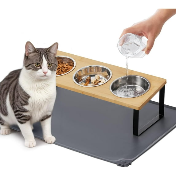 Upgraded Elevated Bowls with Mat,15?Tilted Stand Anti Vomiting Raised ...