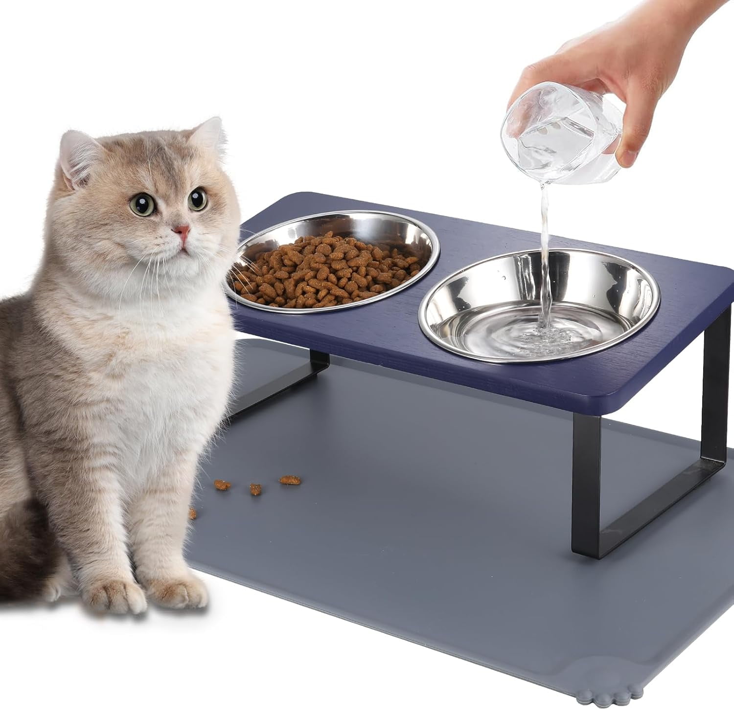 Upgraded Elevated Cat Bowls with Food Mat,15°Tilted Stand Anti Vomiting ...