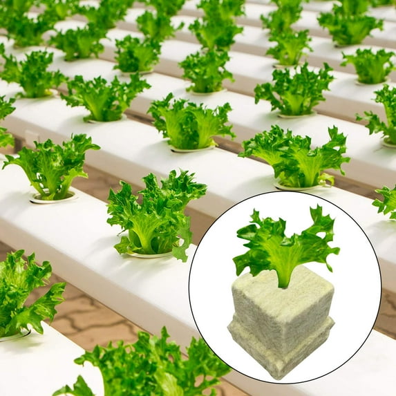 Upgraded Fruit And Vegetable Sowing Matrix Hydroponic Cultivation ...