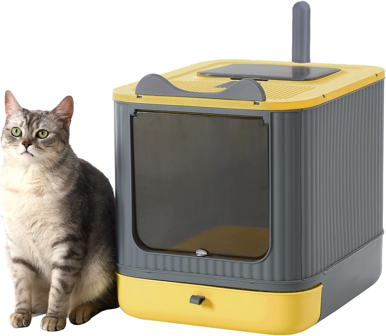 Upgraded Fully Enclosed Cat Litter Box with Lid, Covered Cat Box ...