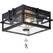 Free Shipping! Franklin Iron Works Park Rustic Semi Flush Mount Outdoor ...