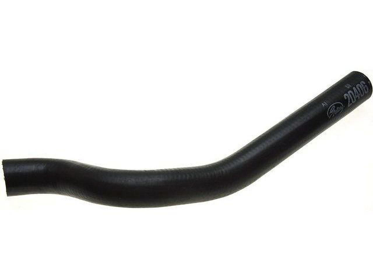 Upper Radiator Hose - Compatible with 1961 - 1962, 1964 Studebaker Hawk ...