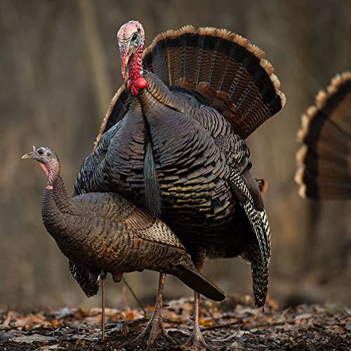 Upright Hen - Walmart.com