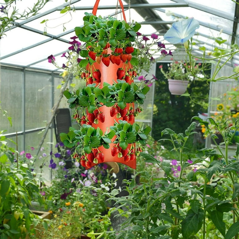 Hanging plant bags store