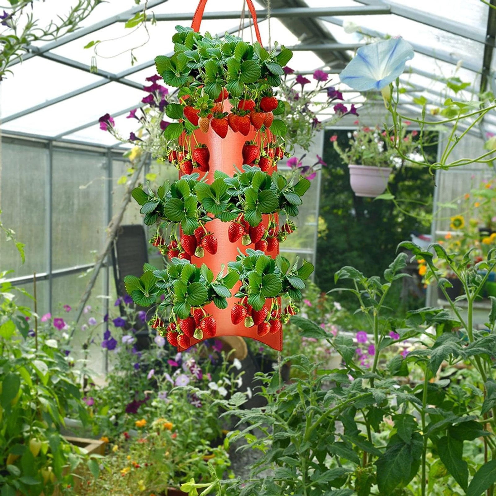 Upside Down Strawberry Planter, Upside Down Tomato Planter - Hanging ...