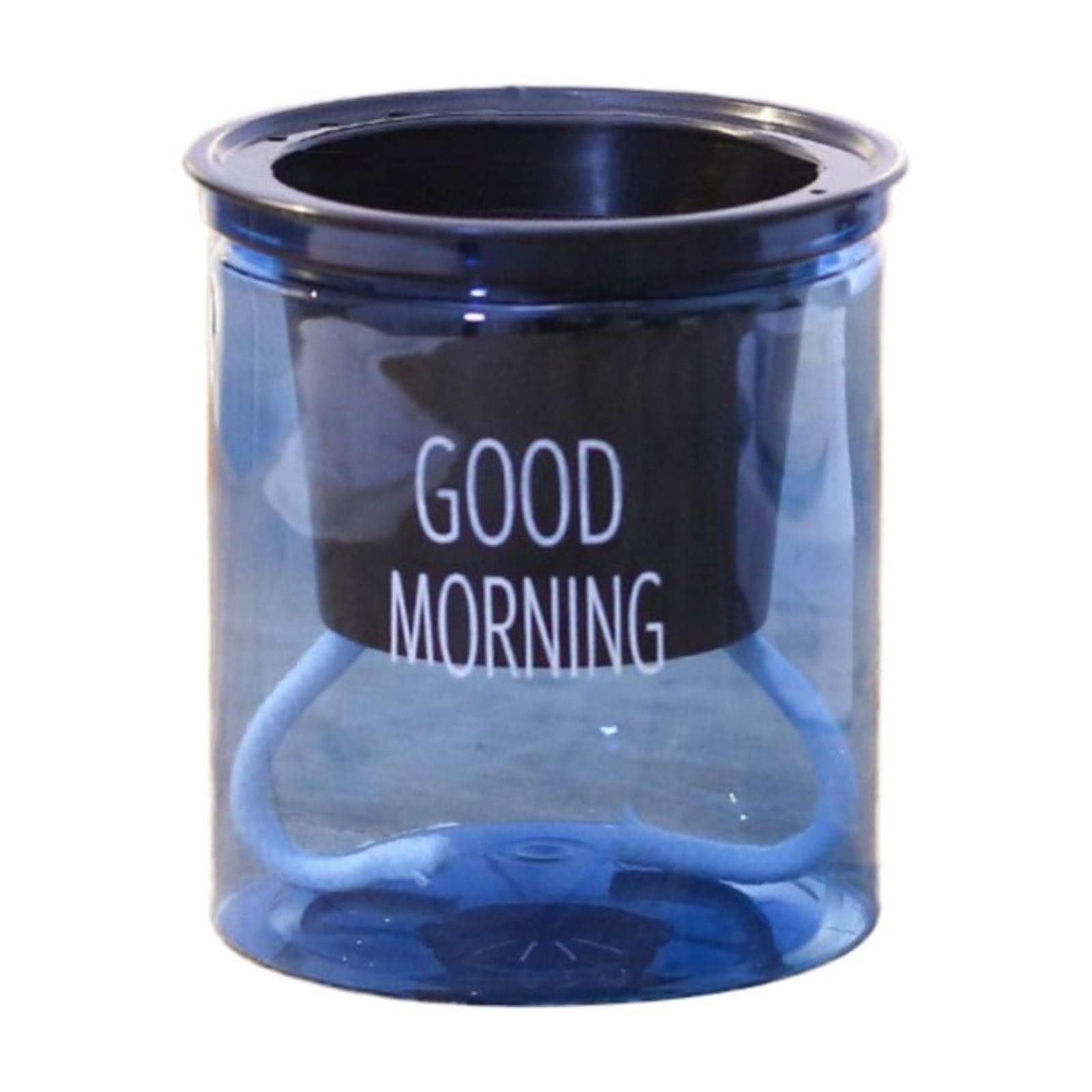 Uqiangy Self Watering Flower Pots, 4 Inch Clear Planter Pots ...