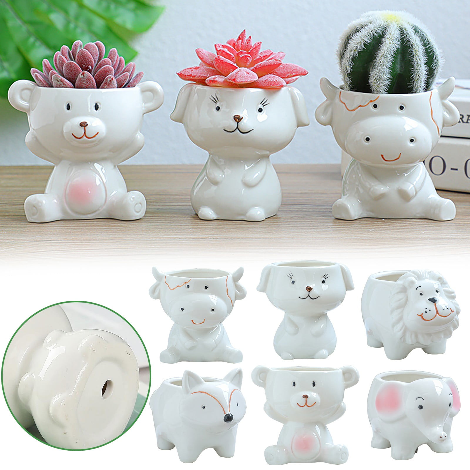 Uqiangy Succulent Pots, Small Succulent Planters with Drainage, Cute ...