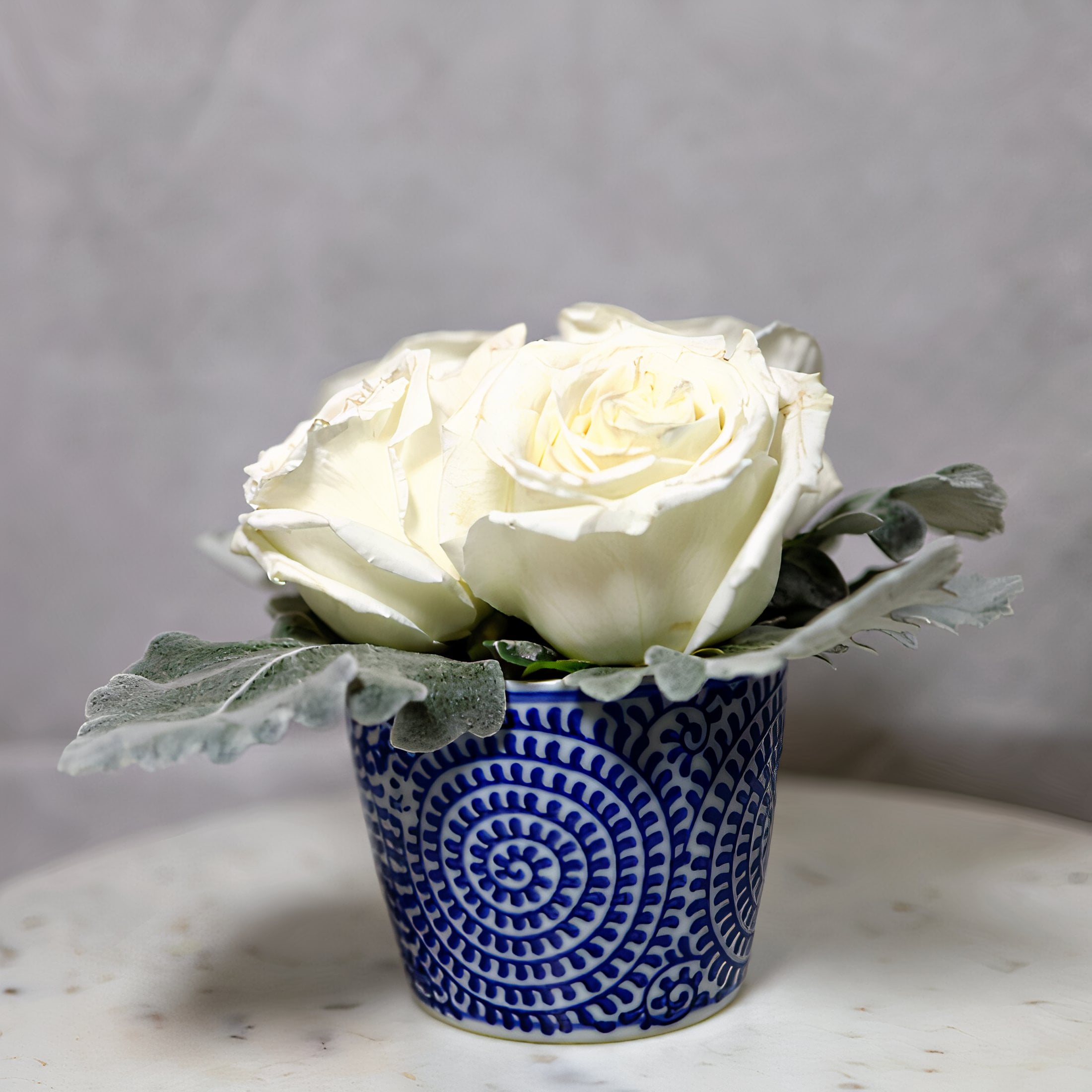 Urban Country Flower Co. Eleanor White Roses, Cut & Fresh Flower ...