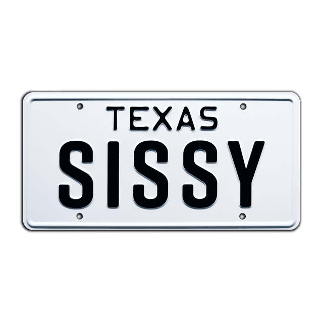 Urban Cowboy | Debra Winger | SISSY | Metal Stamped Replica License ...