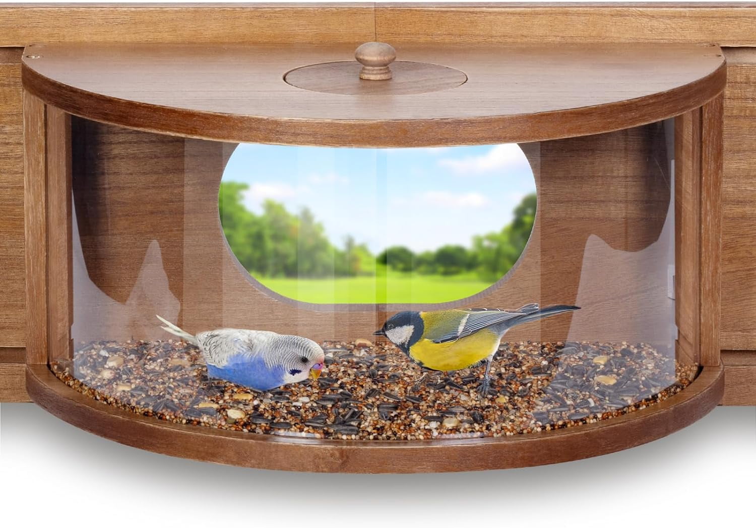 Urban Deco Outdoor Wooden Window Bird Feeder with 180° Clear View ...
