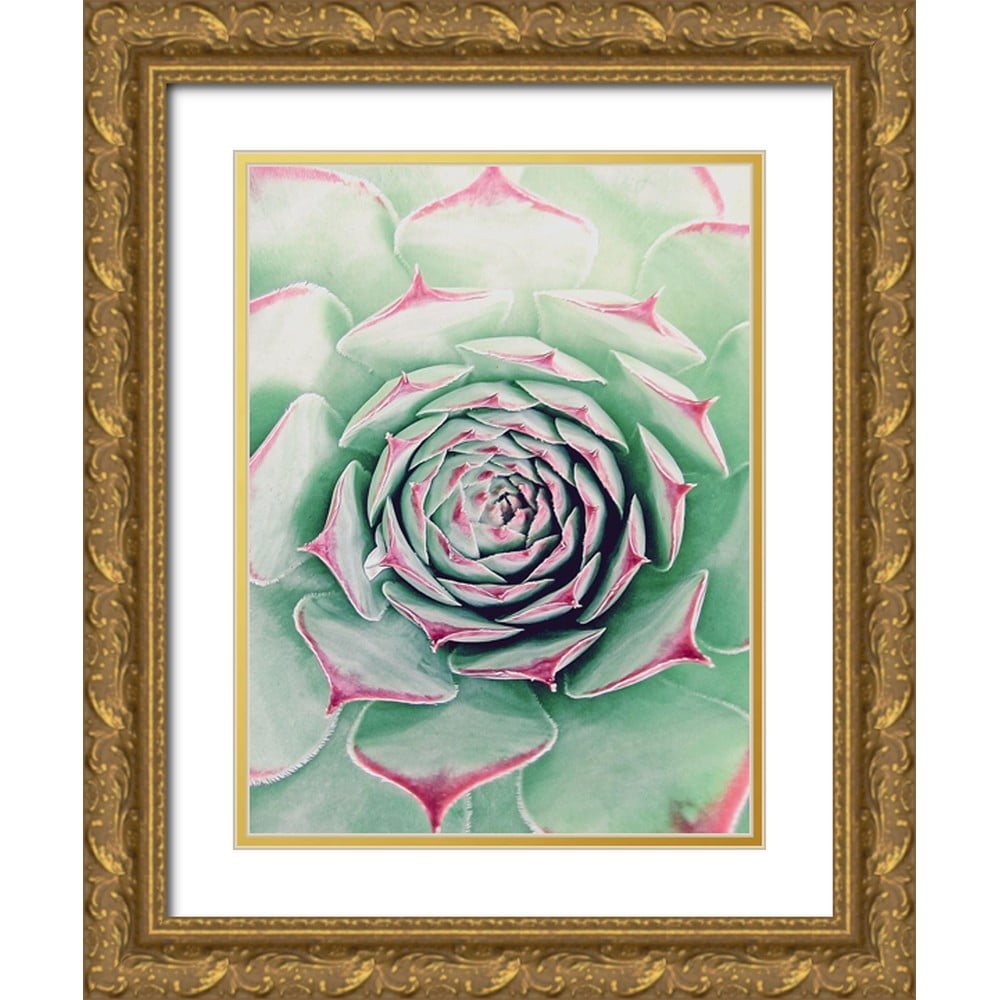 Urban Epiphany 25x32 Gold Ornate Wood Framed with Double Matting Museum ...