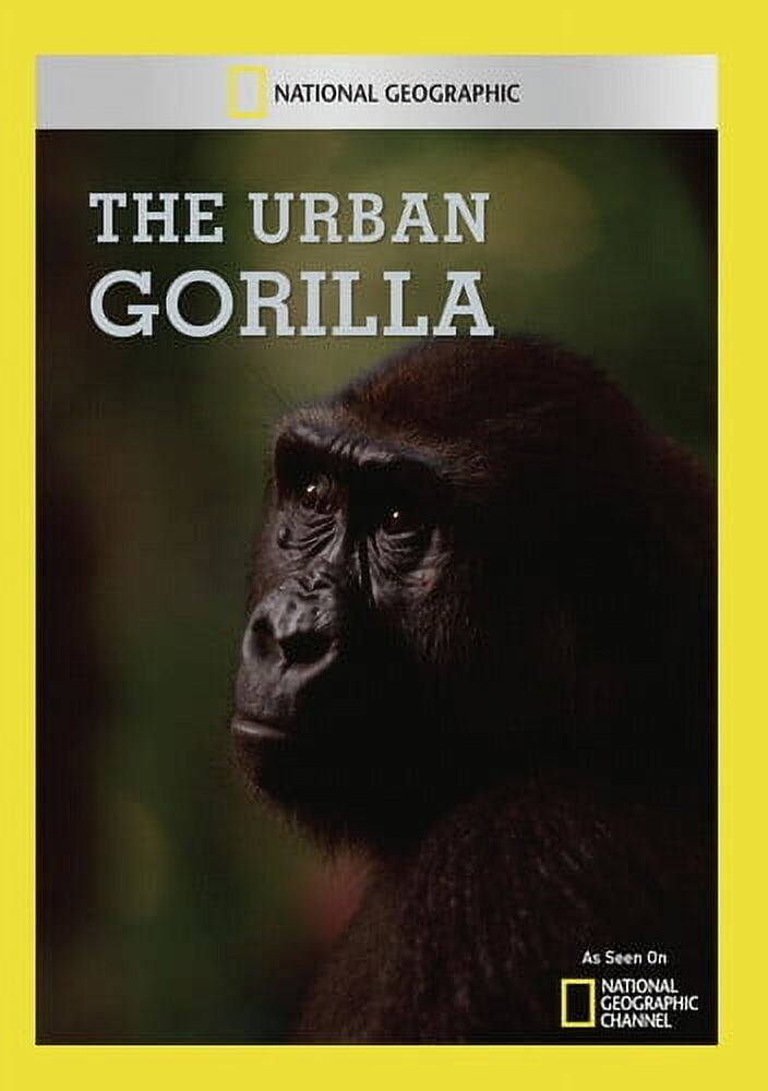 Urban Gorilla (DVD), National Geographic, Documentary - Walmart.com