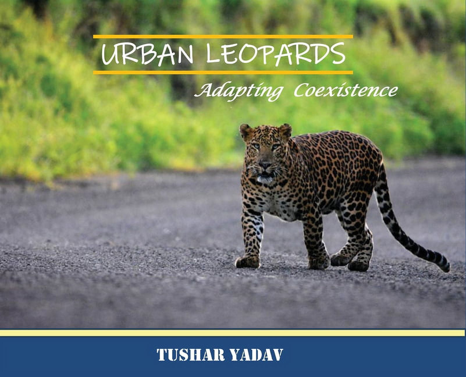 Urban Leopards, Adapting coexistence, (Hardcover) - Walmart.com