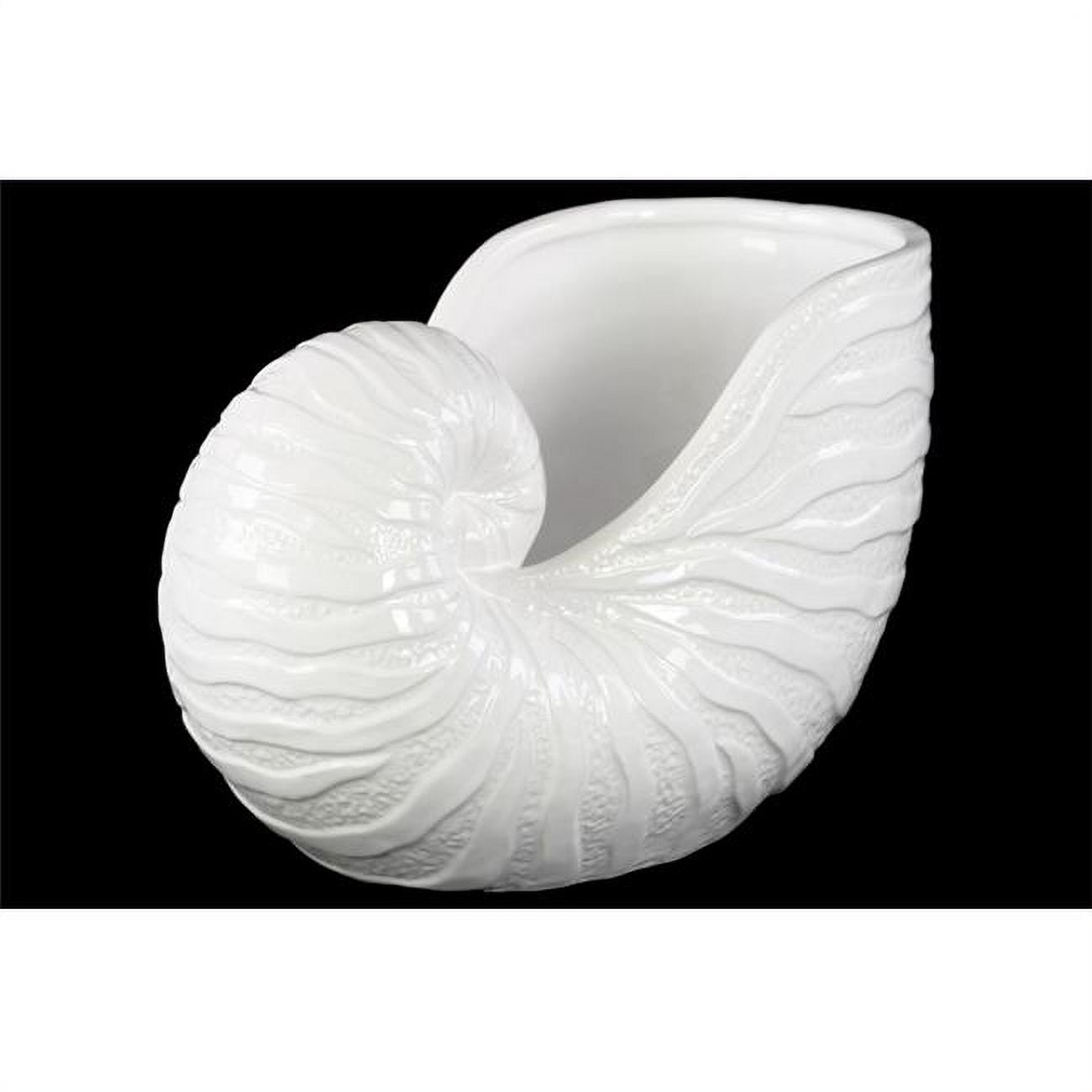 Urban Trends Collection Ceramic Nautilus Seashell Sculpture - White ...