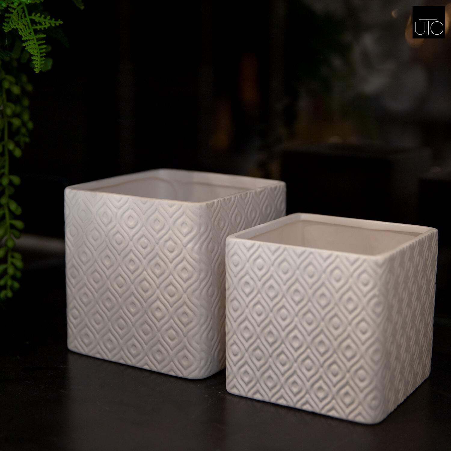 Urban Trends Collection Ceramic Square Pot with Embossed Diamond Design ...