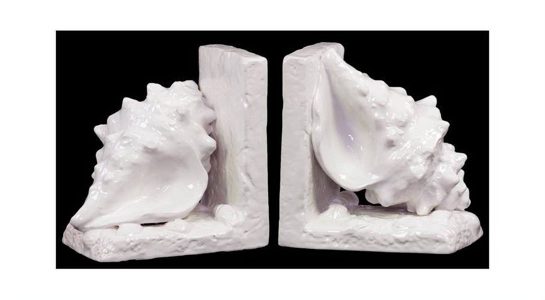 Urban Trends Collection UTC40052: Ceramic Conch Seashell Bookend on ...
