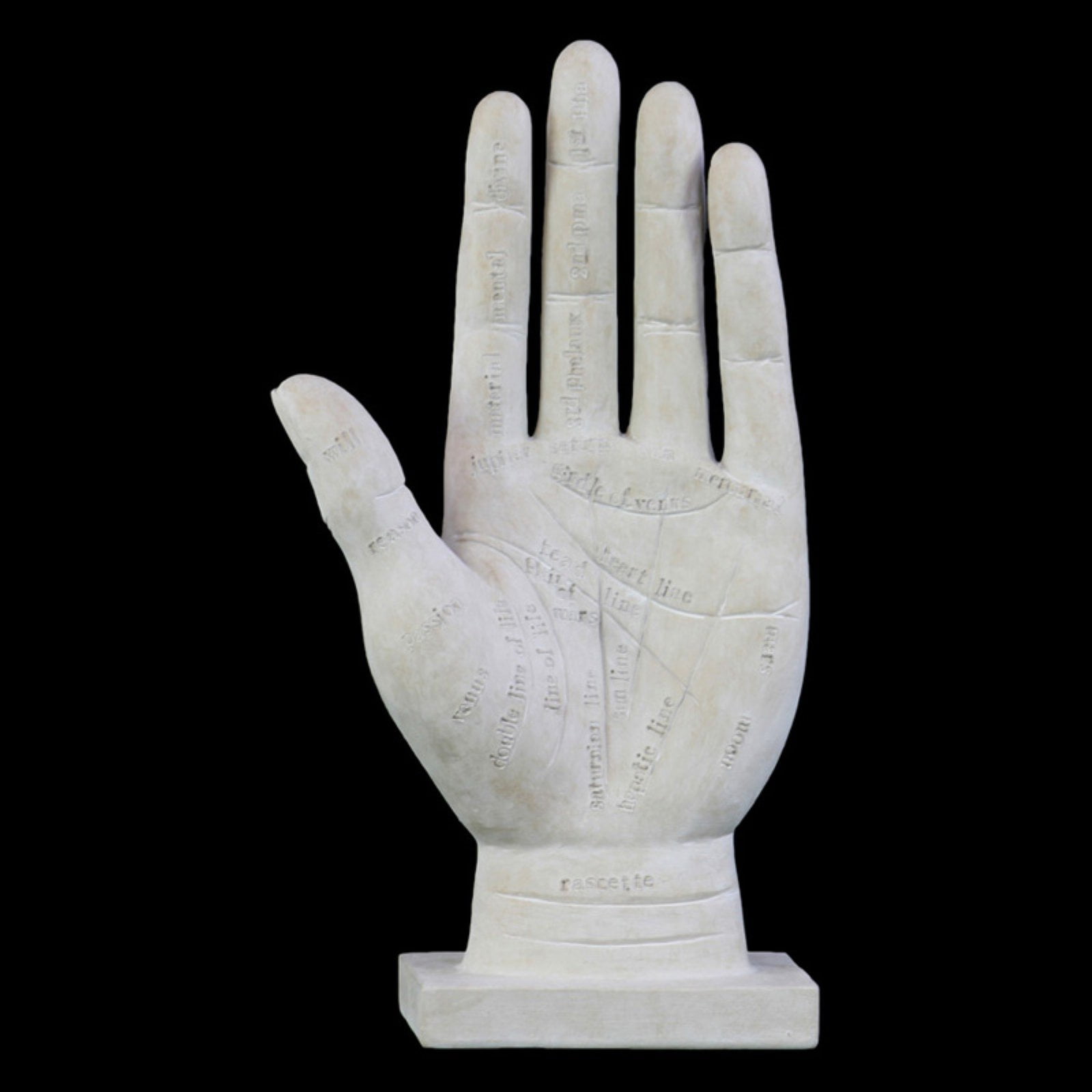 Urban Trends Polyresin Palmistry Hand Sculpture With White Finish 73201 ...