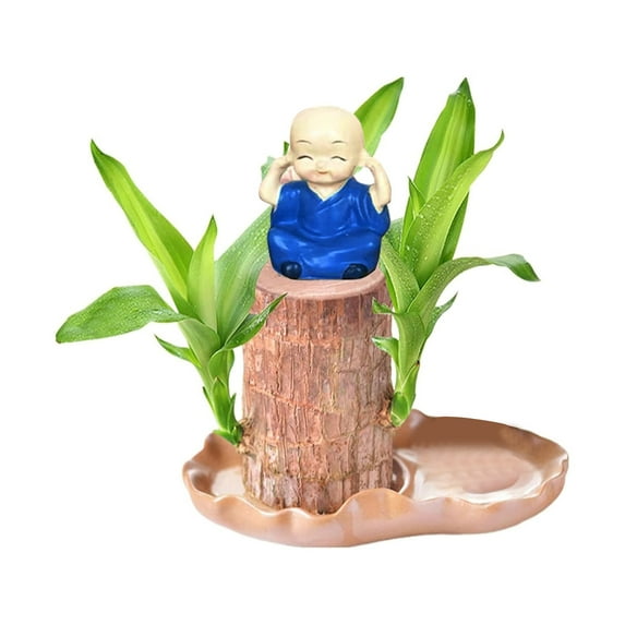 UrbanWave Brazil Wood Hydroponic Tree Stump With 1Dolls & Tray Magical ...