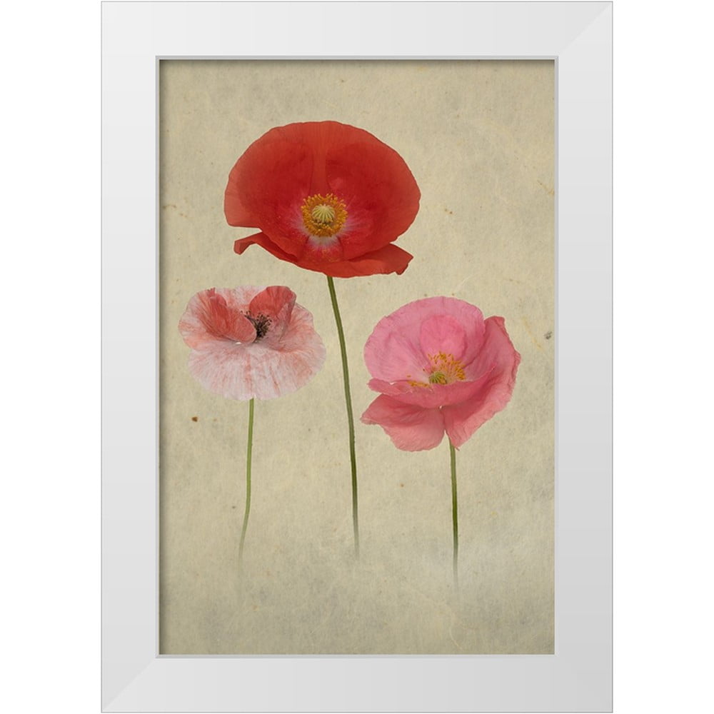 Urbanski, Richard 17x24 White Modern Wood Framed Museum Art Print ...