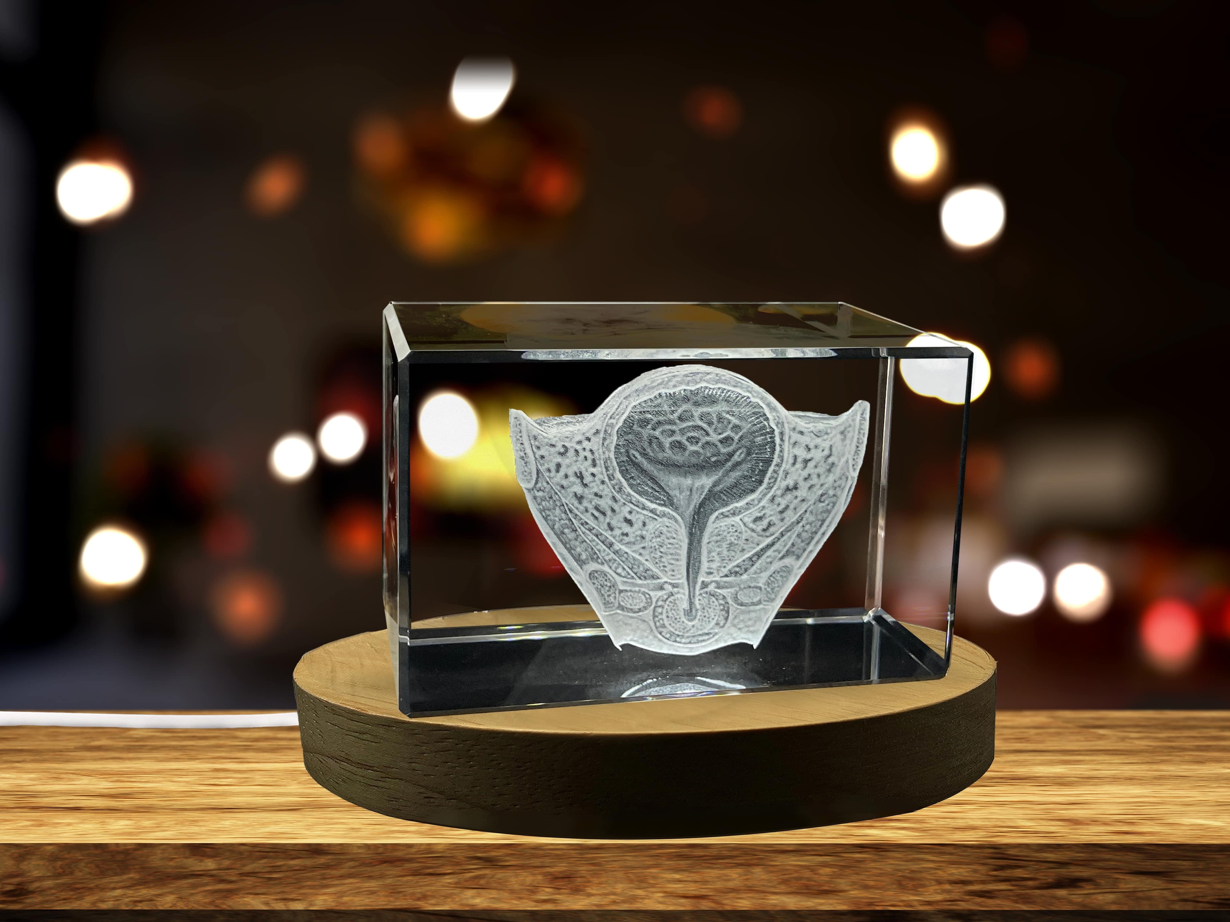Urinary bladder | 3D Engraved Crystal Keepsake | Gift For Urologists ...