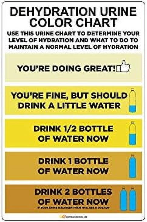 "Urine Color Hydration Chart" Laminated Adhesive Durable Vinyl Decal ...