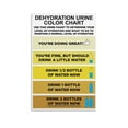 Urine Color Hydration Chart Poster Dehydration Urine Color Canvas for ...