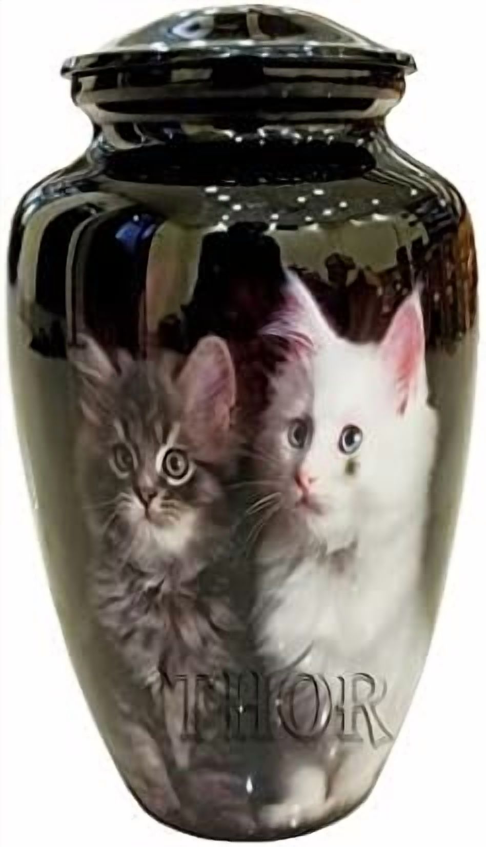Urns for Human Adults Cremation Ashes Urn/with Beautiful Urn for Cat ...