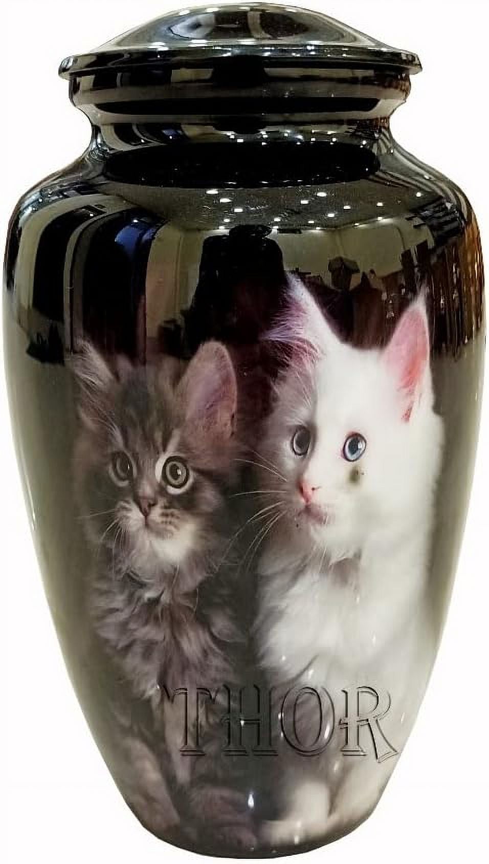 Urns for Human Adults Cremation Ashes Urn/with Beautiful Urn for Cat ...