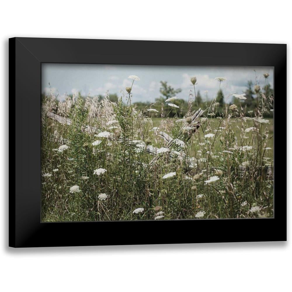 Urquhart, Elizabeth 14x11 Black Modern Framed Museum Art Print Titled - Sun Drenched III ...