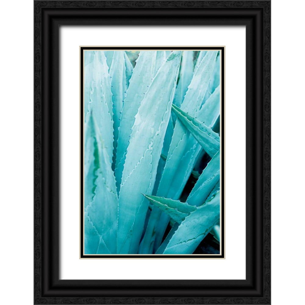 Urquhart, Elizabeth 17x24 Black Ornate Wood Framed with Double Matting ...