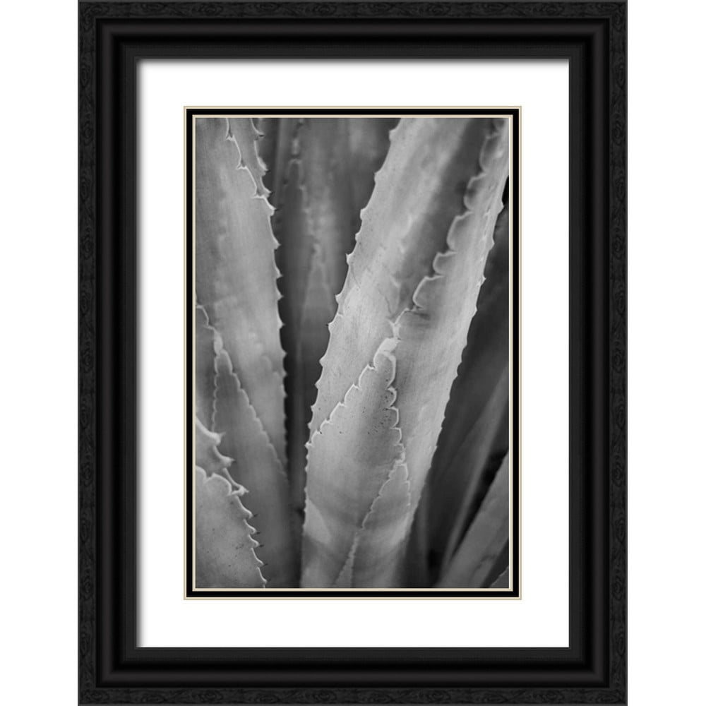 Urquhart, Elizabeth 17x24 Black Ornate Wood Framed with Double Matting ...