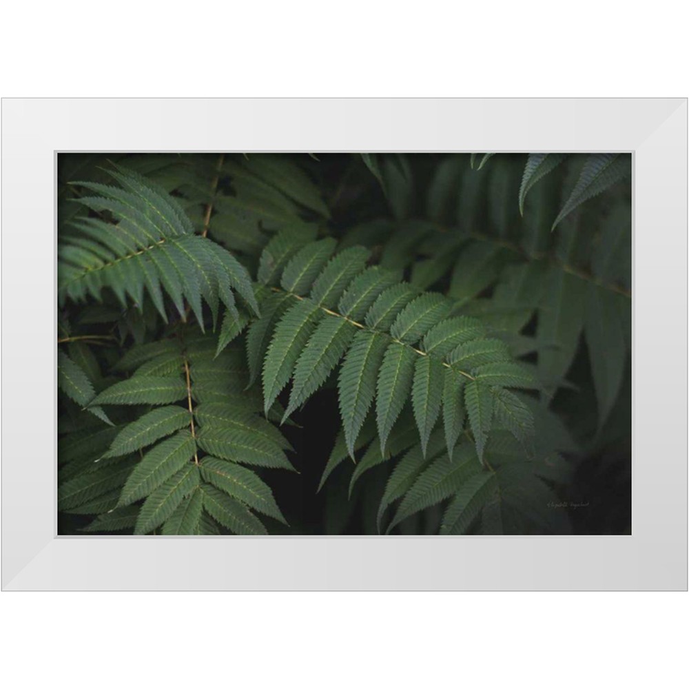 Urquhart, Elizabeth 18x13 White Modern Wood Framed Museum Art Print ...