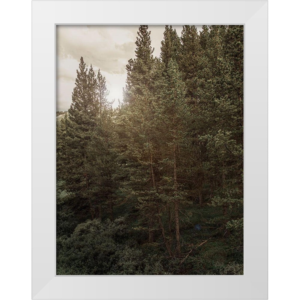Urquhart, Elizabeth 19x24 White Modern Wood Framed Museum Art Print ...