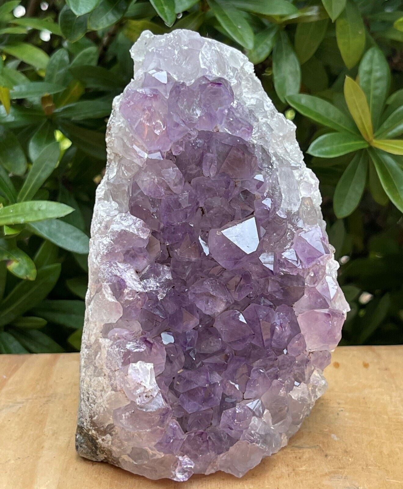 Uruguayan Amethyst Cluster, Amethyst Geode with Cut Base - Walmart.com